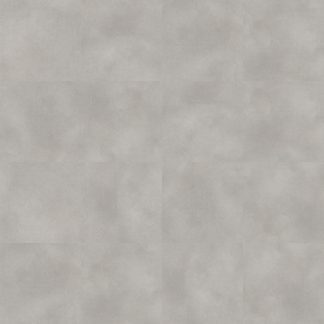 Light Grey Concrete 2567 - Polyflor Canada Inc.