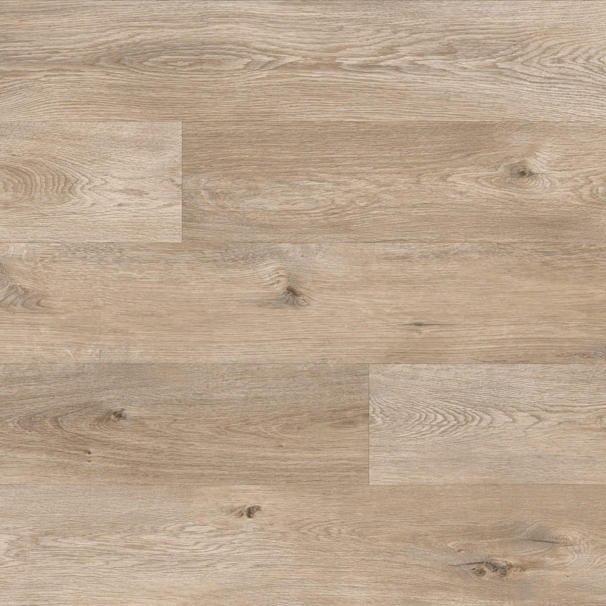 Ridge Oak 8952 - Polyflor Canada Inc.