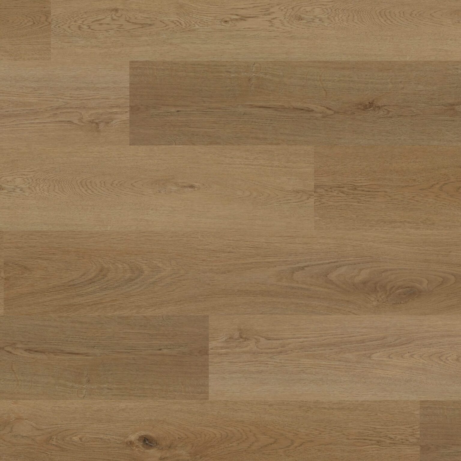 Country Park Oak 4388 - Polyflor Canada Inc.